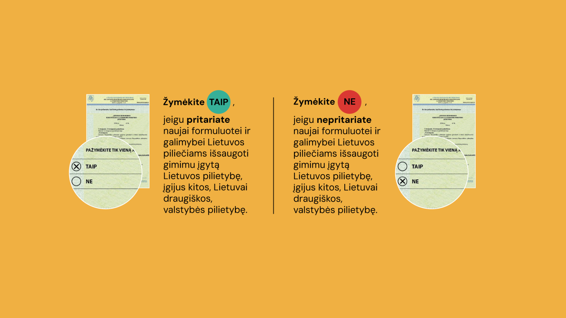 Susipažink, kaip atrodys referendumo balsavimo biuletenis - Gargždai
