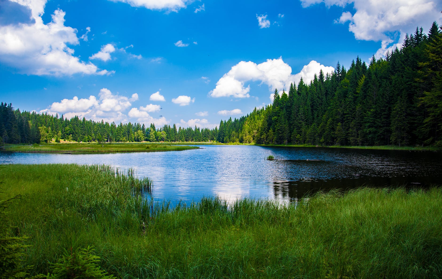 Žuvintas mini dešimties metų sukaktį UNESCO biosferos rezervatų tinkle ...